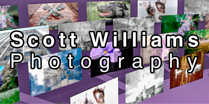 Scott Williams Photography